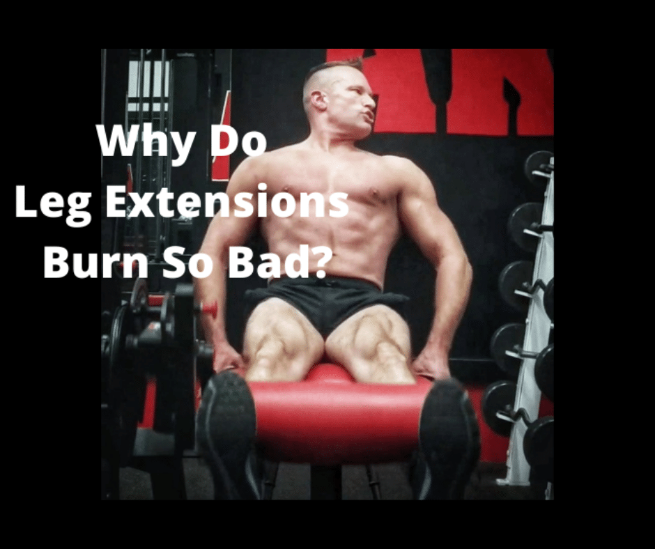 Why Do Leg Extensions Burn So Bad? (4 Factors to Consider) - My ...