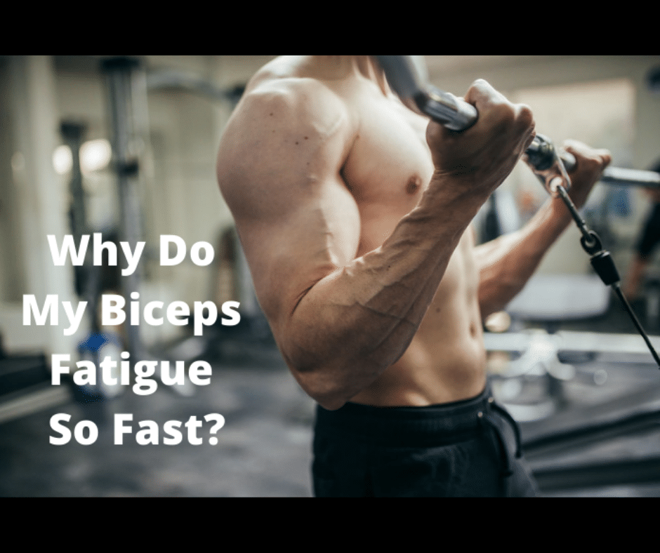 Why Do My Biceps Fatigue So Fast? (5 Things You Should Know) - My ...