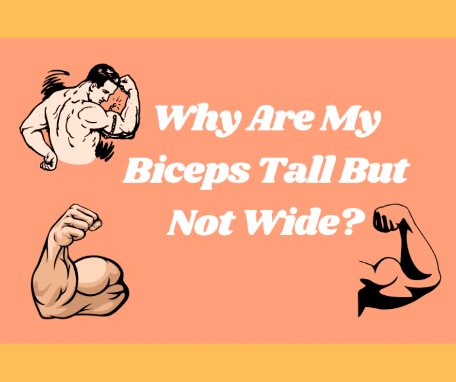 Tall Biceps, No Width? Get the Scoop & Gain the Width You Want! - My ...